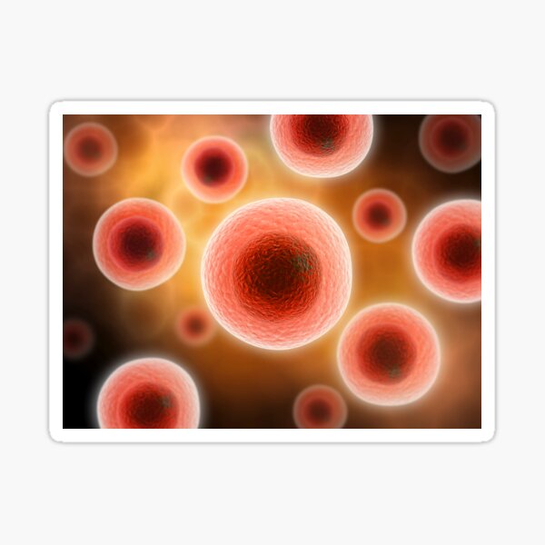 "Microscopic view of cell." Sticker for Sale by StocktrekImages | Redbubble