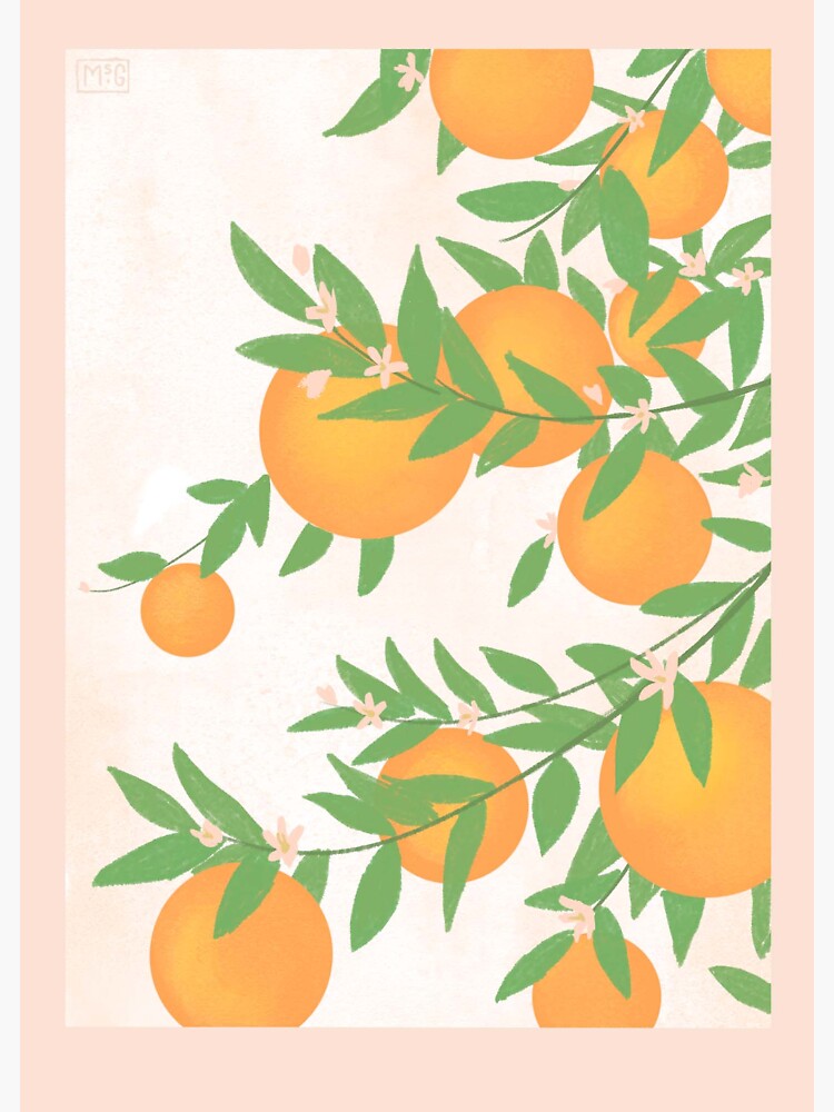"Orange Tree Print No.1 (White)" Sticker by msgallows | Redbubble