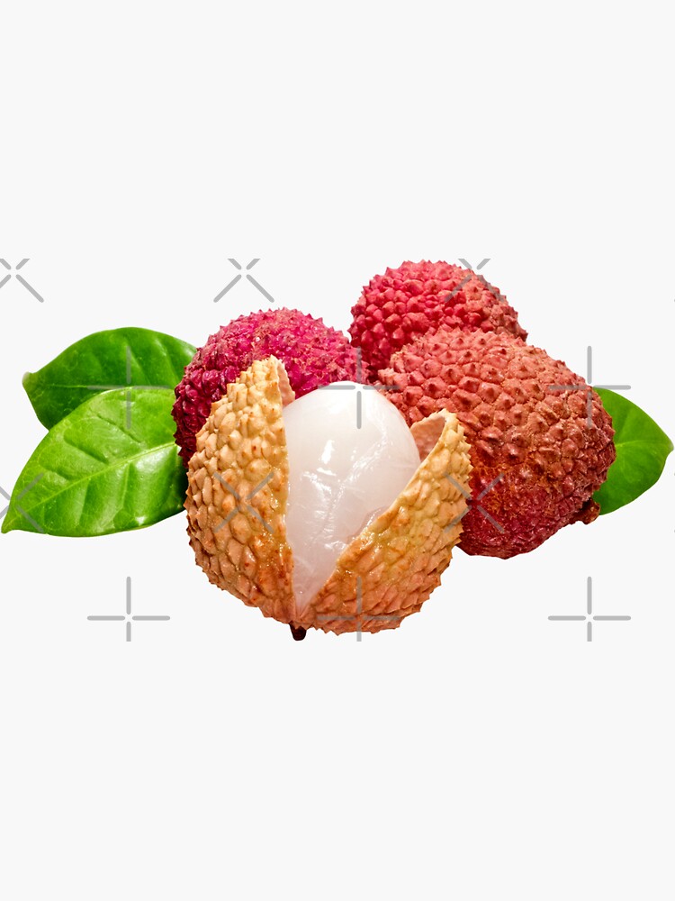 "Lychee" Sticker by MyStickerStudio | Redbubble