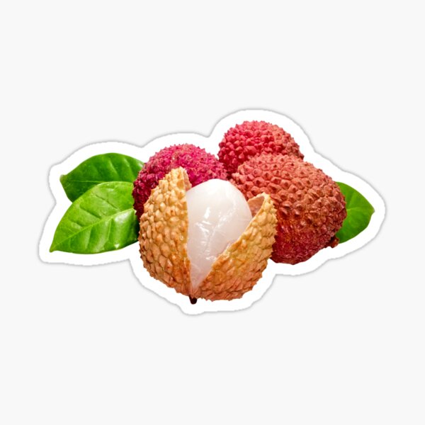 "Lychee" Sticker by MyStickerStudio | Redbubble