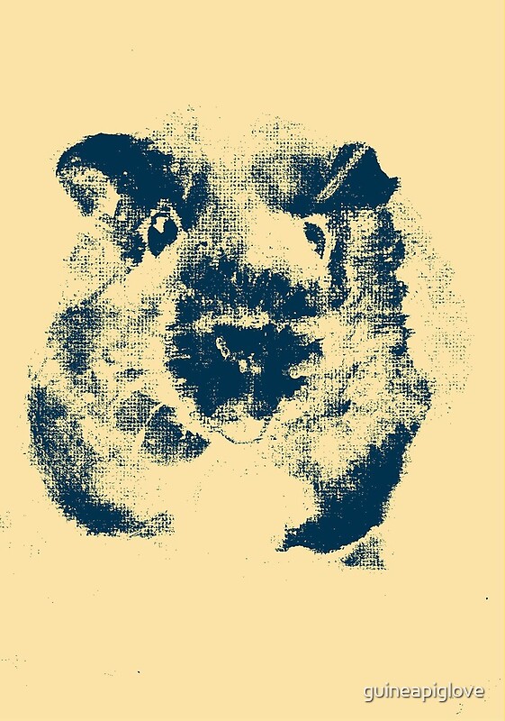 "Guinea Pig Abstract Study" by guineapiglove | Redbubble
