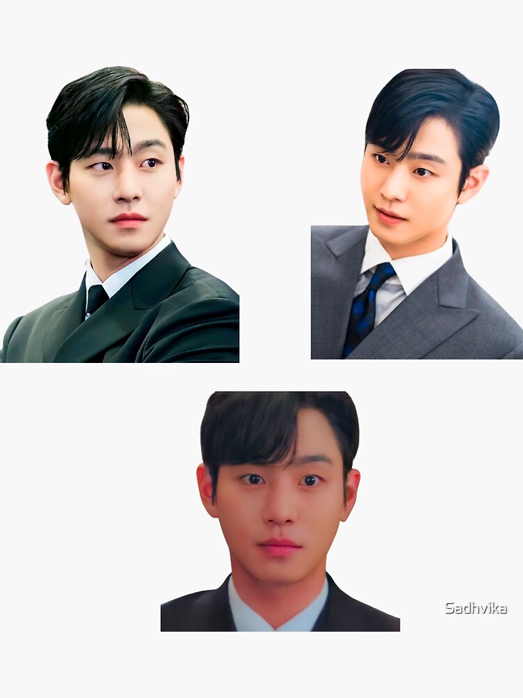 "AHN HYO SEOP as KANG TAE MU (BUSINESS PROPOSAL)" Sticker by Sadhvika ...