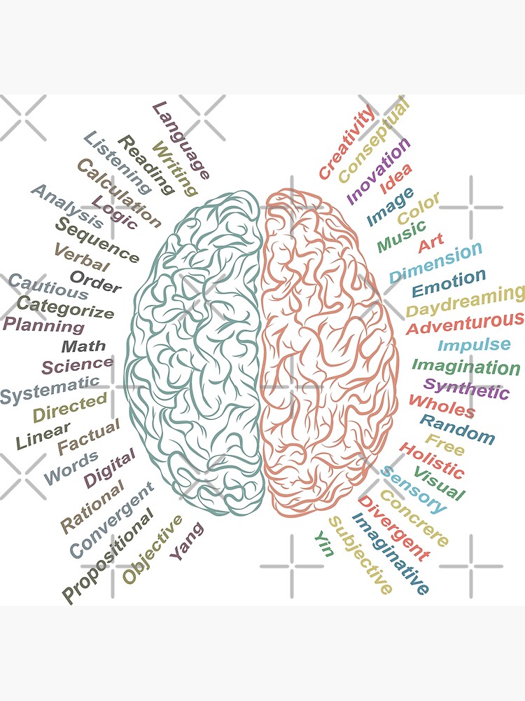 "Left and right brain" Poster for Sale by portokalis | Redbubble