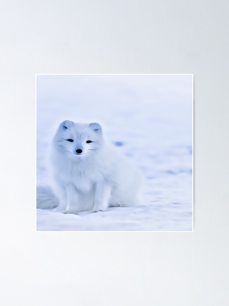 "Arctic White Fox" Poster for Sale by luka-shop4u | Redbubble