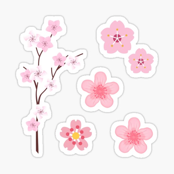 "Sakura cherry blossom pack" Sticker for Sale by stickers-packs | Redbubble