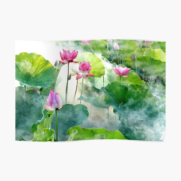 "Lotus flower" Poster for Sale by CoffeeLoverToo | Redbubble