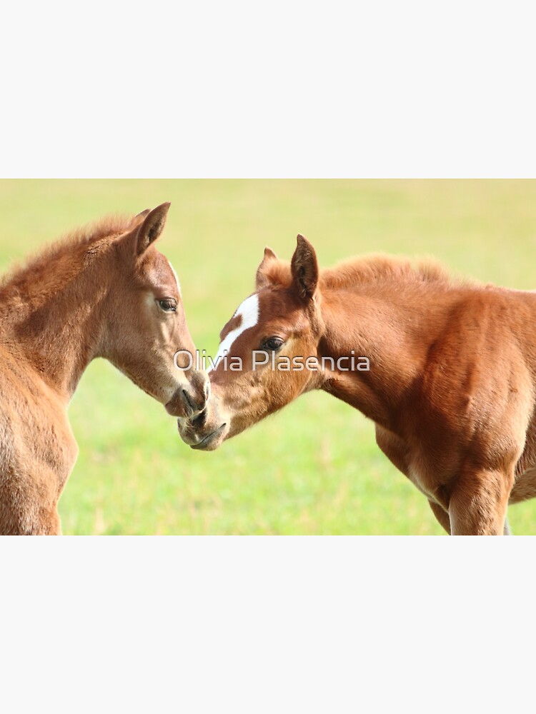 "Just too sweet" Sticker for Sale by Wildwinyan | Redbubble