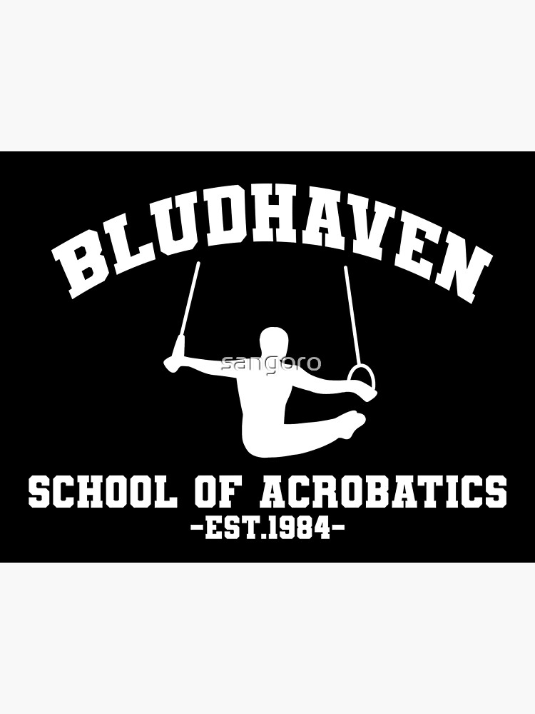 "bludhaven acrobatics" Poster by sangoro | Redbubble