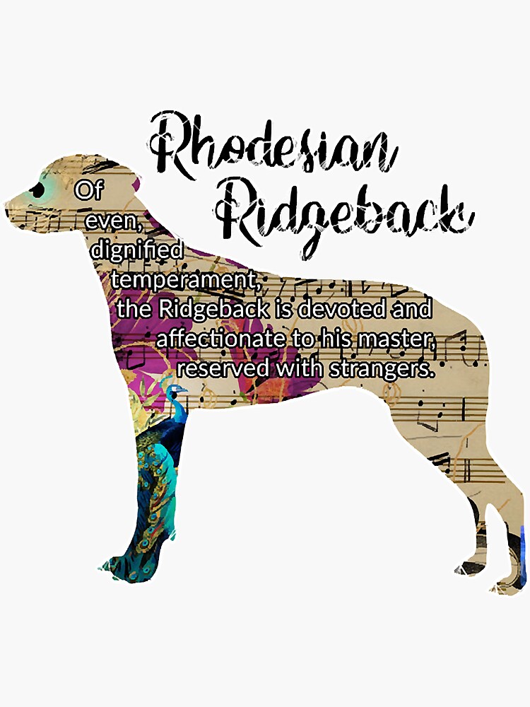 "Rhodesian Ridgeback " Sticker by CandiceMon1694 | Redbubble