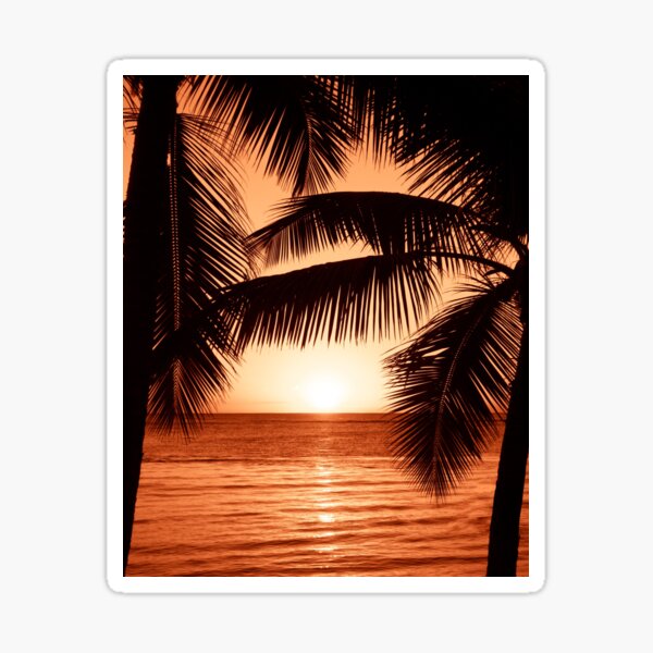 "Orange Sunset and Palm Trees" Sticker by metamorfosedsgn | Redbubble