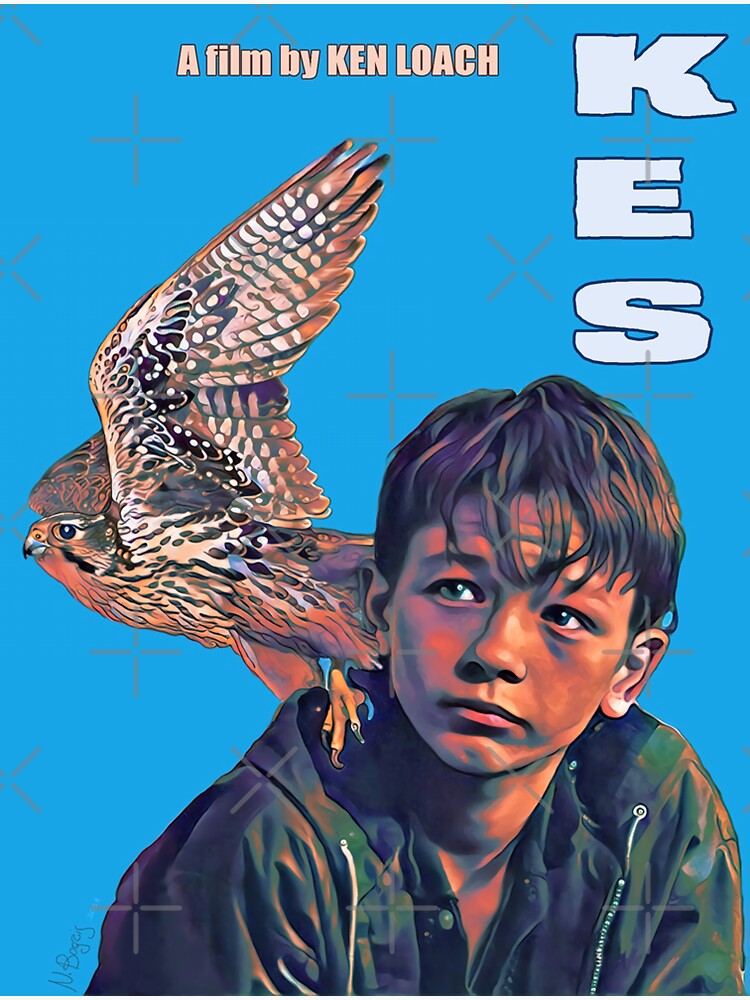 "Kes Bird" Sticker by khayalansemata | Redbubble