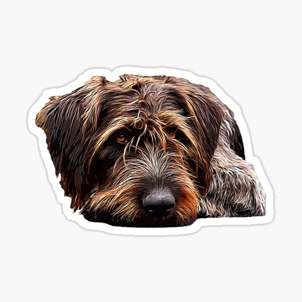 "German Wirehaired Pointer" Sticker by Elarex | Redbubble