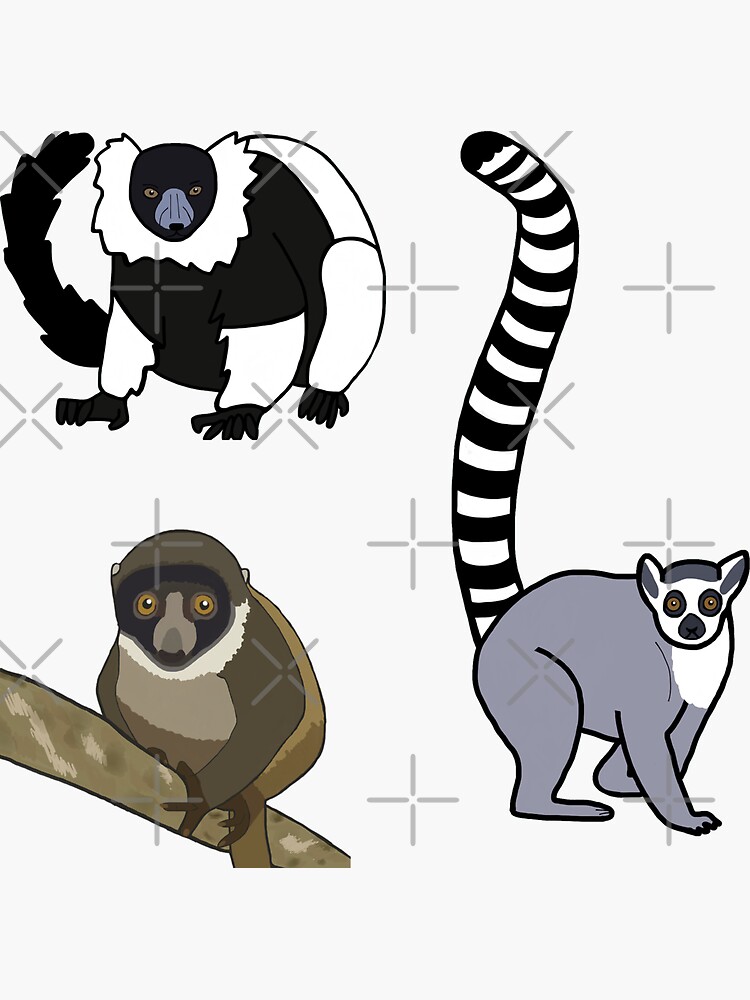 "Lemurs - Mini Sticker Pack" Sticker for Sale by wildlifeandlove ...