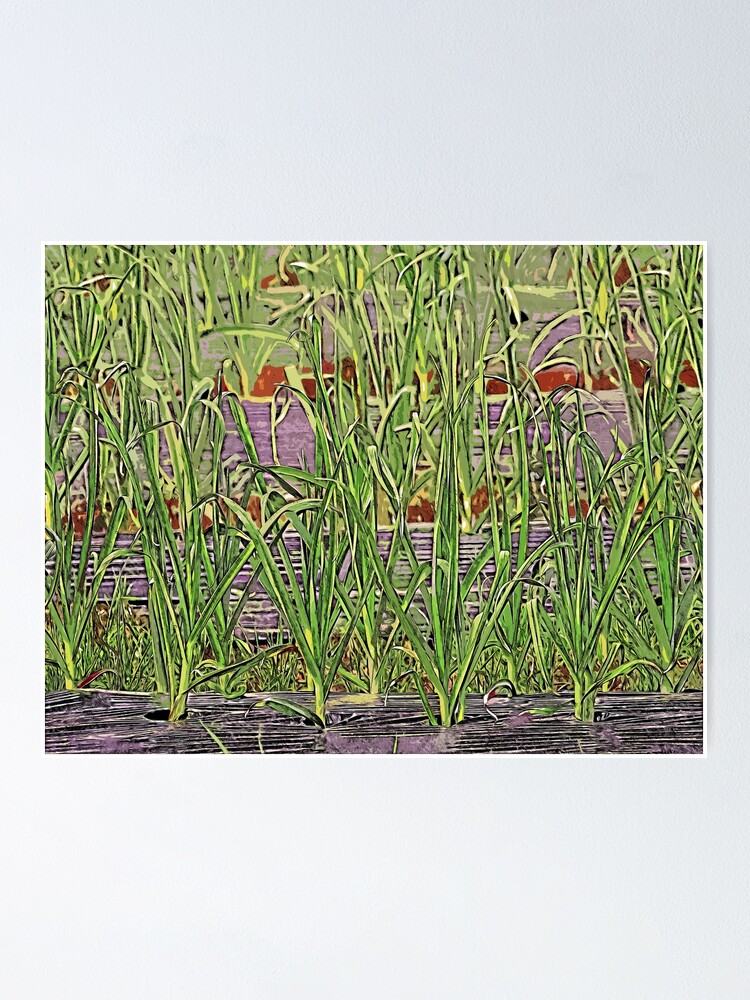 "Green grass print abstract art " Poster for Sale by artdragongift ...