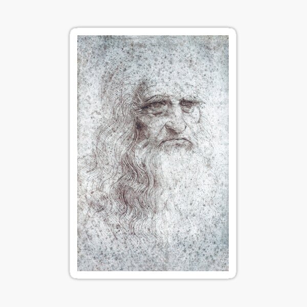 "leonardo da vinci" Sticker by PedicaDesign | Redbubble