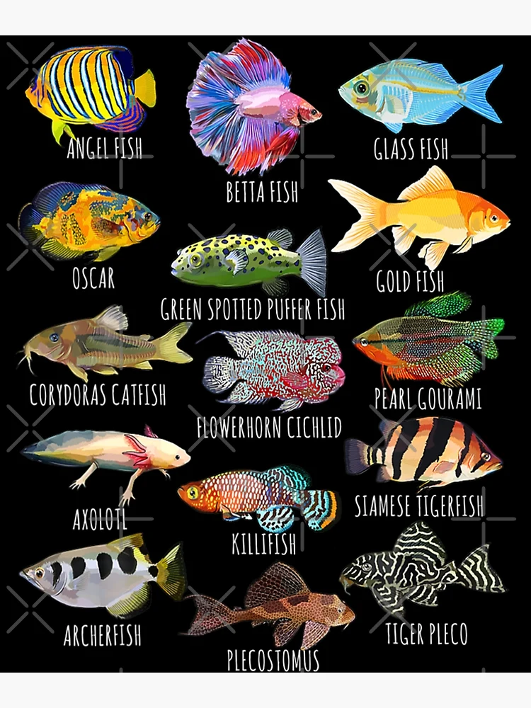 Aquarium Fish Chart With Pictures