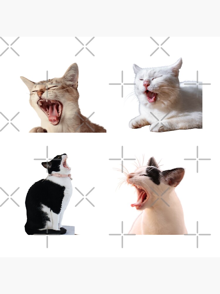 "Cute cats yawning" Sticker by EbiGenny | Redbubble