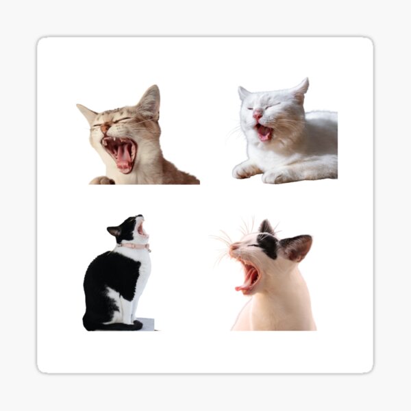 "Cute cats yawning" Sticker by EbiGenny | Redbubble