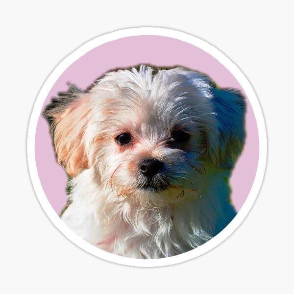 "Hay" Sticker by Alex-Disainer | Redbubble