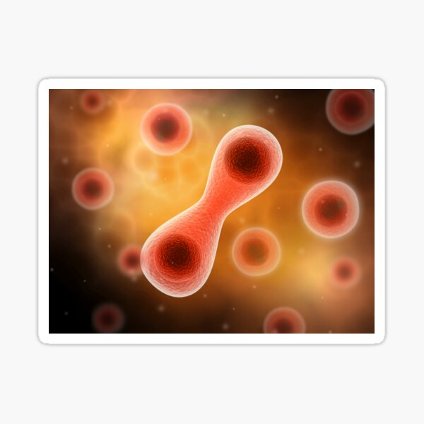 "Microscopic view of cell division." Sticker for Sale by ...