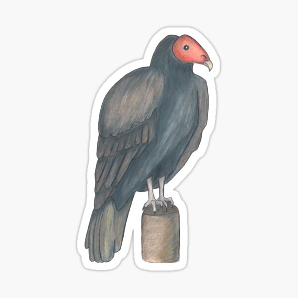 "Vulture" Sticker by pewter-tiger | Redbubble