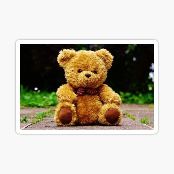 "Sweet little Bear toy" Sticker for Sale by StevanoArt | Redbubble