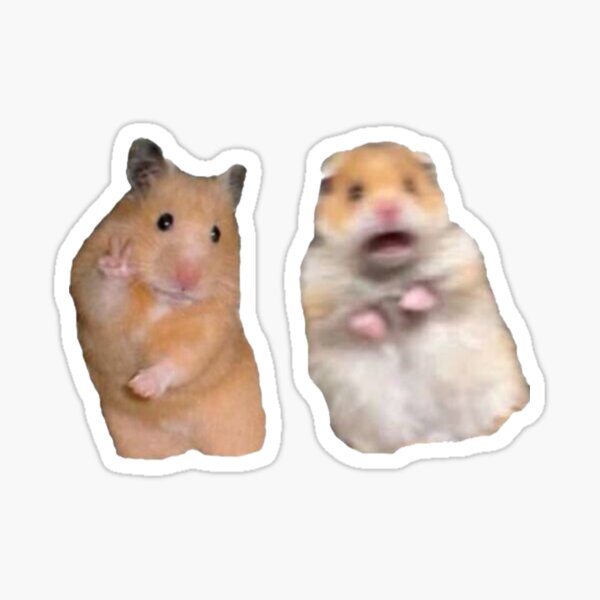 "Peace Sign and Screaming Hamster" Sticker by OLMP | Redbubble