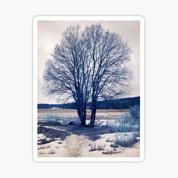 "The blue is so cold color" Sticker by JoukoKLehto | Redbubble