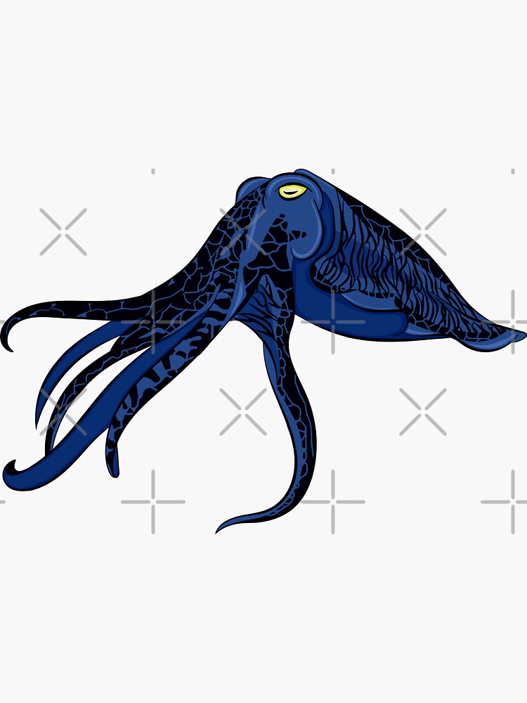 "cuttlefish squid azul oscuro - squid in the ocean - illustration ...