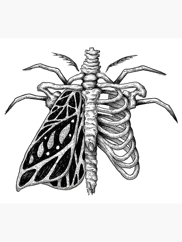 "Illustration of a Skeleton Moth " Poster for Sale by CorvinnusBlood ...