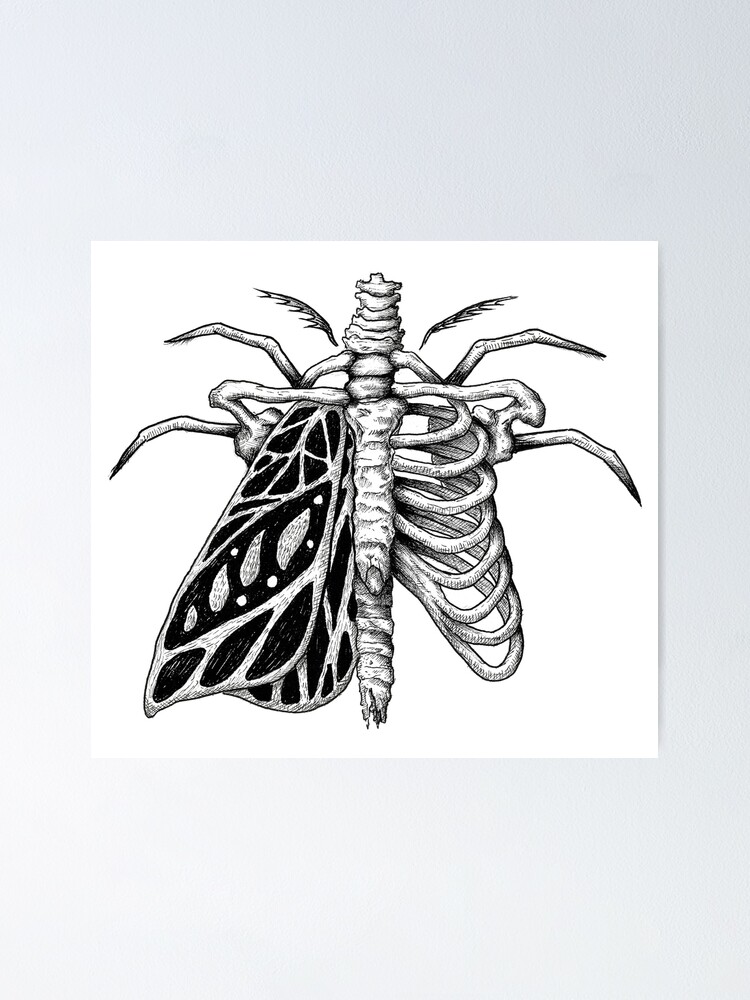 "Illustration of a Skeleton Moth " Poster for Sale by CorvinnusBlood ...