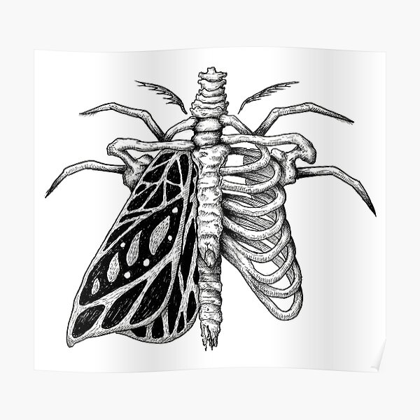 "Illustration of a Skeleton Moth " Poster for Sale by CorvinnusBlood ...