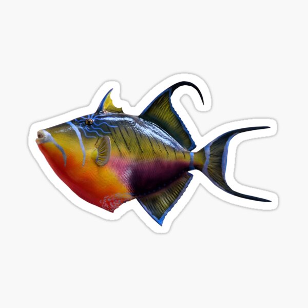 "Stunning Fish Sticker" Sticker for Sale by Metaverse8 | Redbubble
