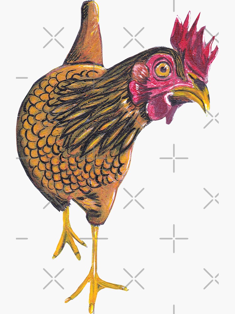 "Rhode Island Red Chicken" Sticker for Sale by BarbBarnesArt | Redbubble