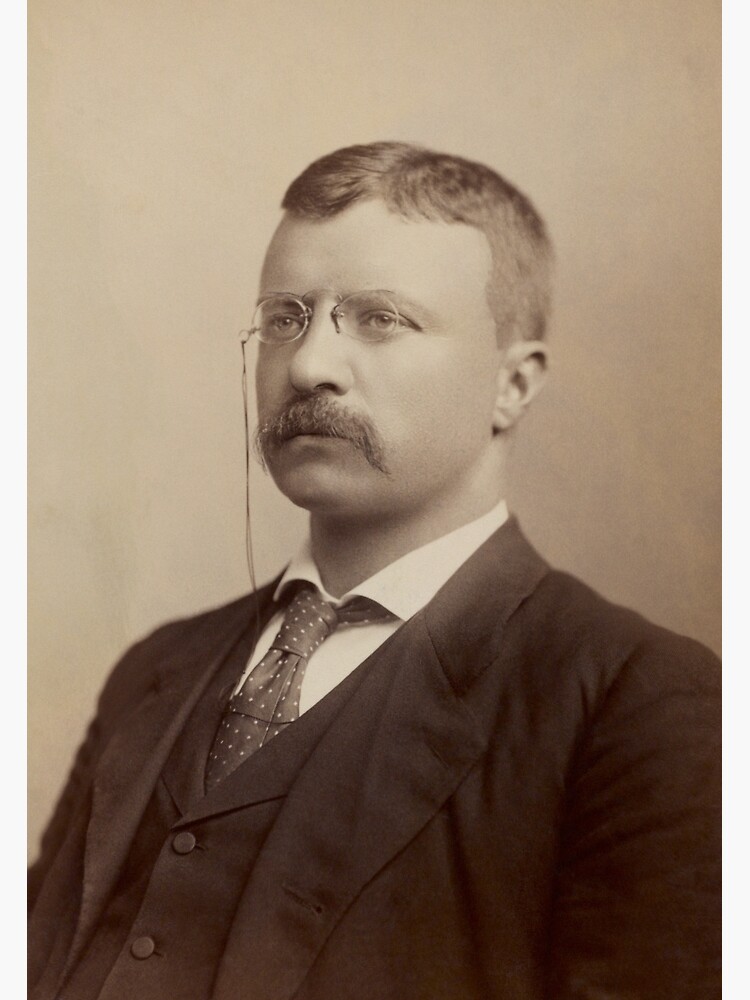 "Theodore Roosevelt Portrait - October 14, 1898" Photographic Print for ...