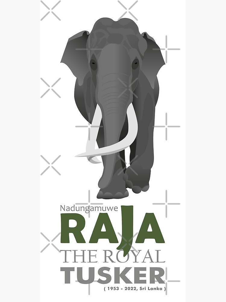 "Raja The Royal Tusker" Poster for Sale by SaShaCreations | Redbubble