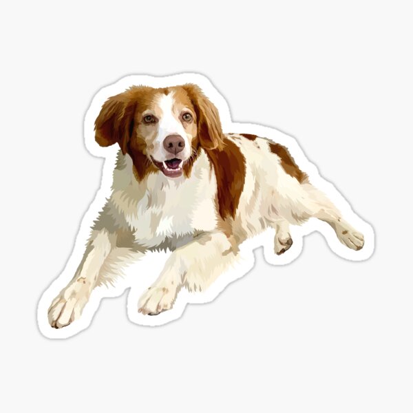 "Ginger" Sticker for Sale by KatsDogs | Redbubble