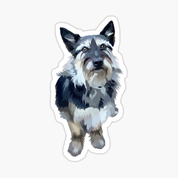"Zoe" Sticker for Sale by Kat's Dogs | Redbubble