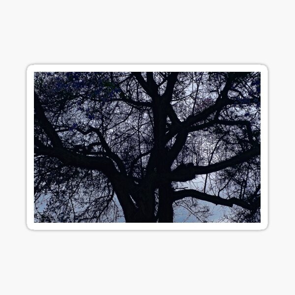 "Early Spring Bare Tree" Sticker by oknoki | Redbubble