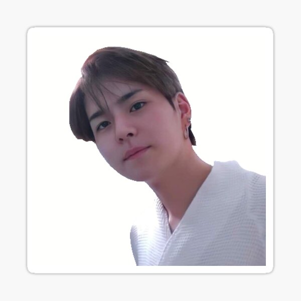 "yoshi is the loml" Sticker by sharkuraa | Redbubble