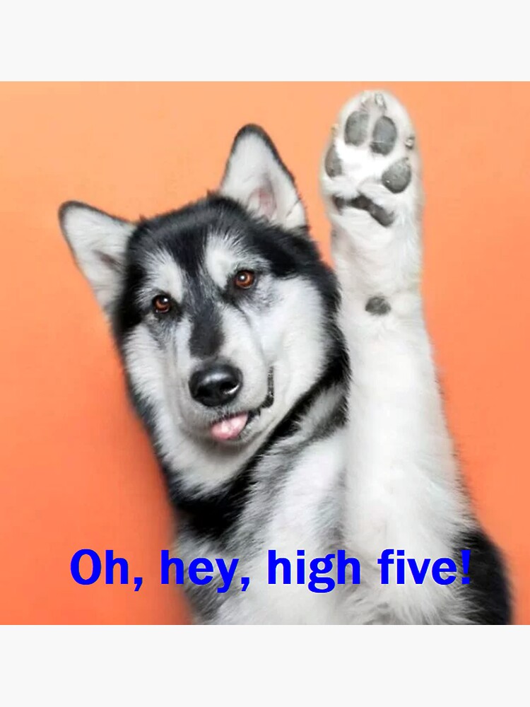 "High five!" Sticker by Ale10677 | Redbubble