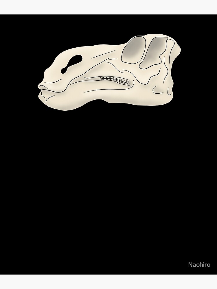 "dinosaur maiasaura fossil skeleton skull" Poster for Sale by Naohiro ...
