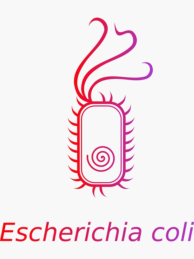 "Bacteria, Escherichia coli " Sticker by yoctos24 | Redbubble