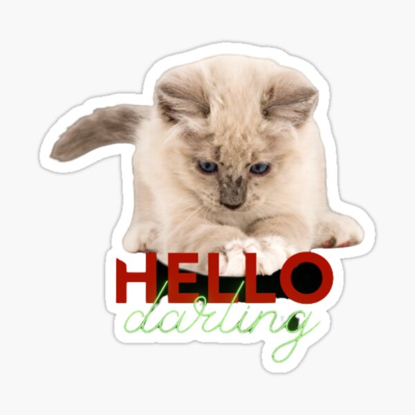 "Cool cats : Hello darling " Sticker by FilominaArt | Redbubble