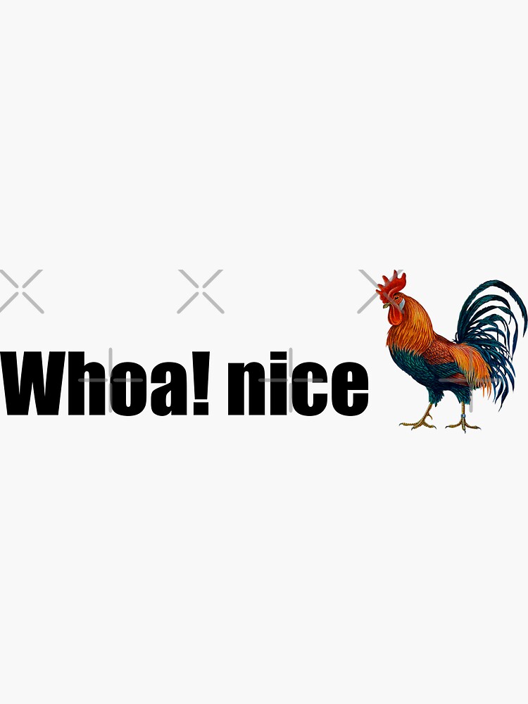 "Woah! Nice cock" Sticker by usefrdp | Redbubble