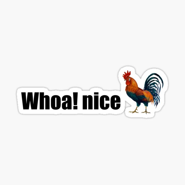 "Woah! Nice cock" Sticker by usefrdp | Redbubble