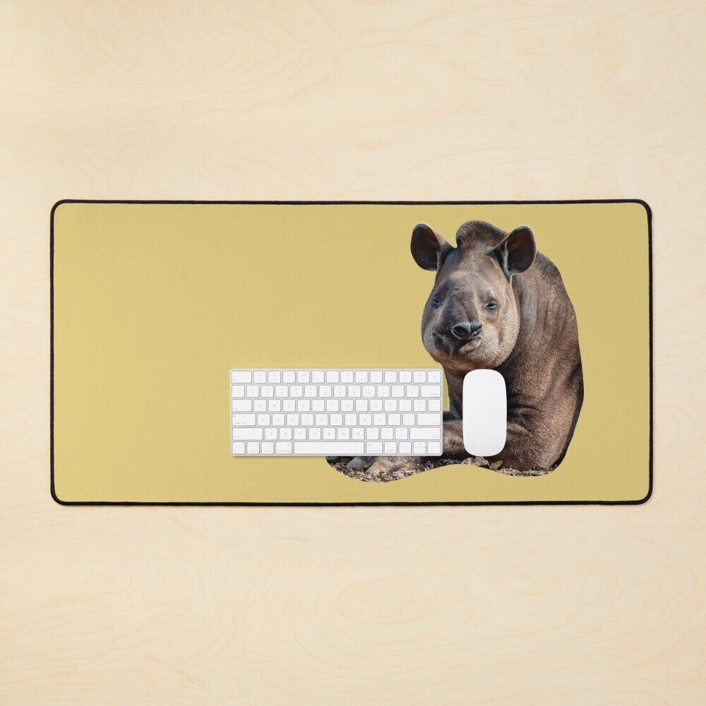 "Brazilian Tapir" Sticker for Sale by Dalyn | Redbubble