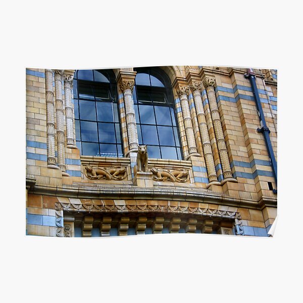 "Natural History Museum London Windows" Poster for Sale by fairychamber ...