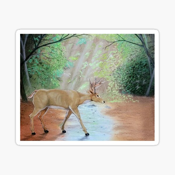 "Buck" Sticker for Sale by Jer11370 | Redbubble