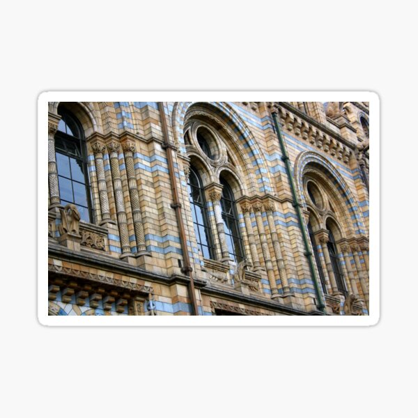 "Natural History Museum" Sticker for Sale by Niina Niskanen | Redbubble